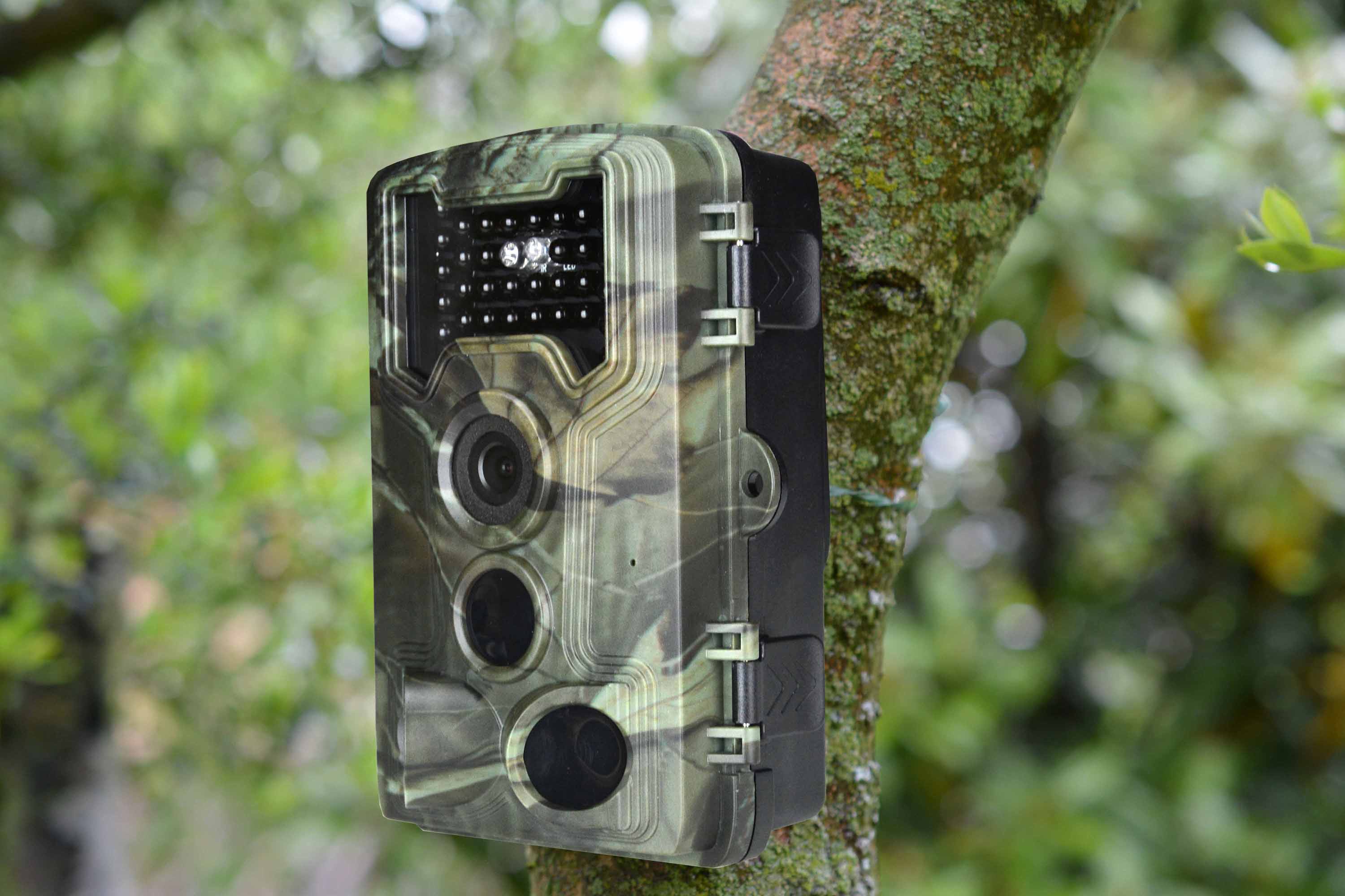 Telecamere mimetiche fototrappole per la campagna e la caccia | DSE ...
