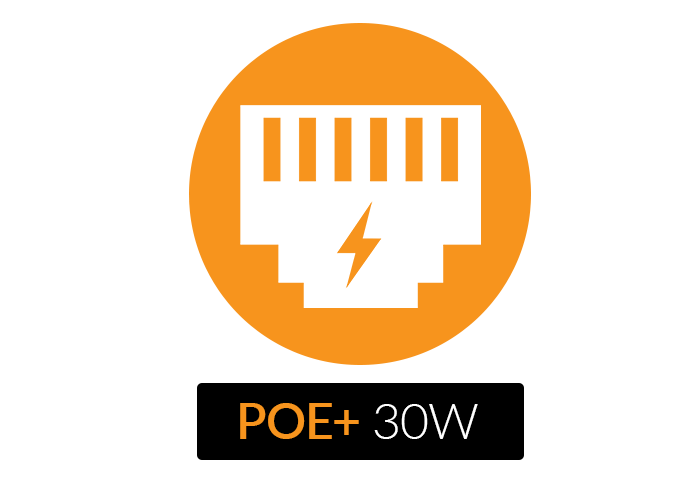 Switch POE per telecamere IP | DSE TVCC videosorveglianza Torino