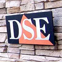 DSE. Telecamere a circuito chiuso IP Onvif e AHD per videosorveglianza ...